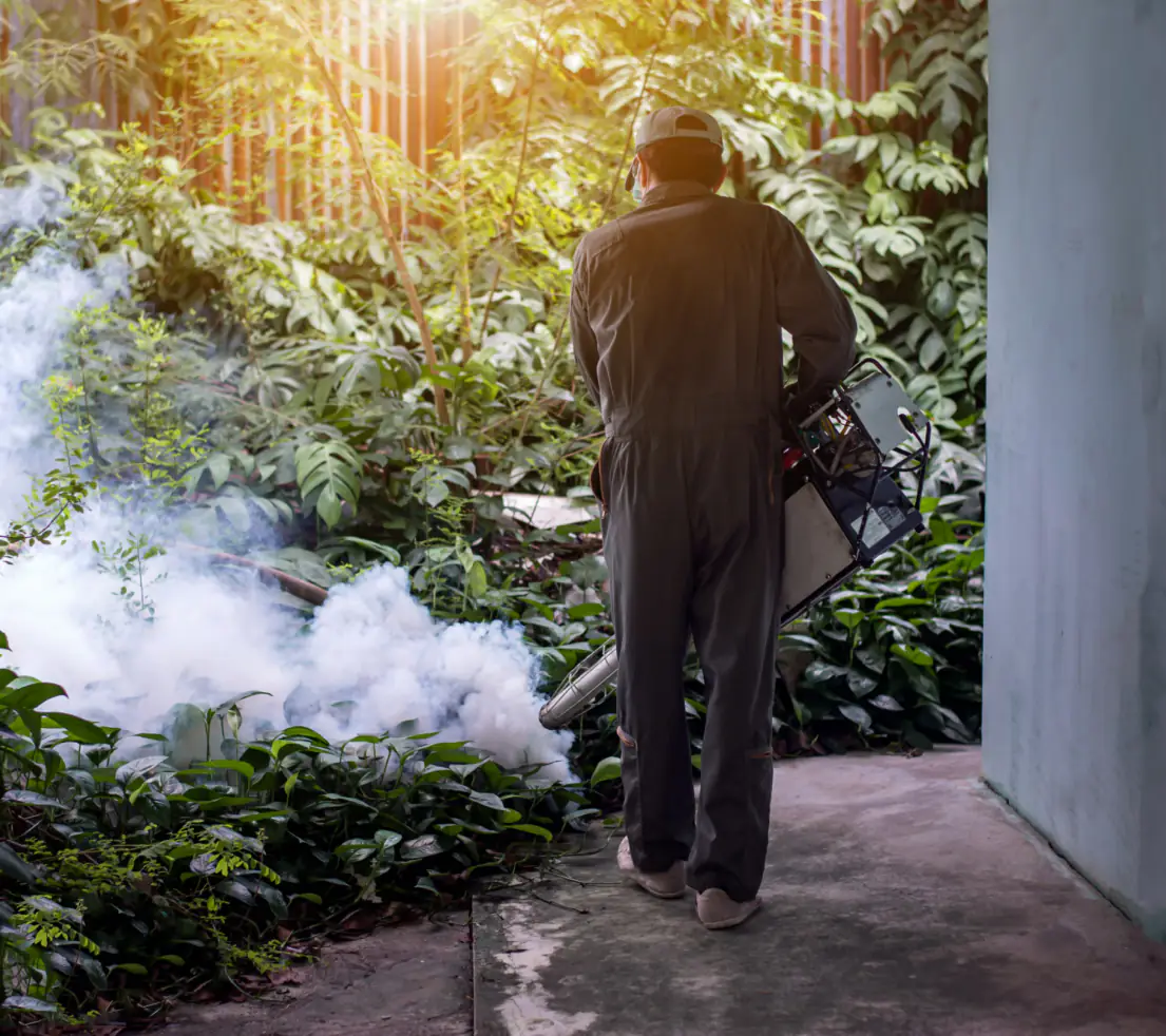 Structural Pest Control | Oklahoma Facility Services | Tulsa